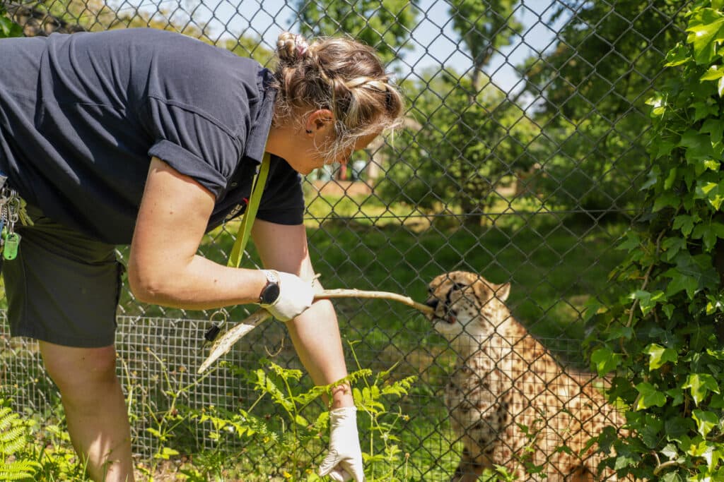 Latest Updates • Paignton Zoo